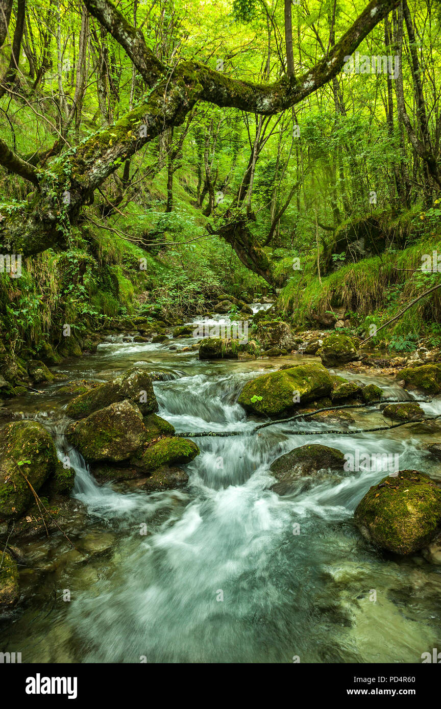 rapid stream, Abruzzo Stock Photo - Alamy