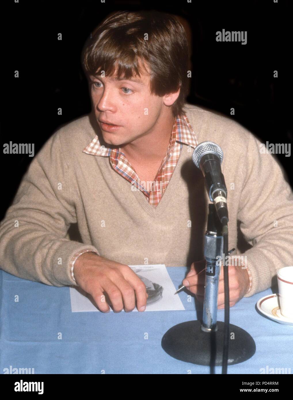 Mark Hamill 1980 Photo By John Barrett/PHOTOlink.net/MediaPunch Stock ...