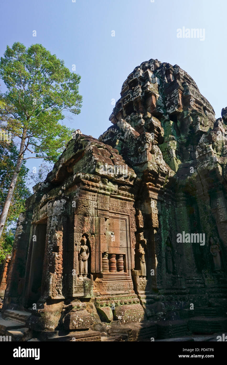 Ta Som temple in Angkor, Cambodia Stock Photo - Alamy