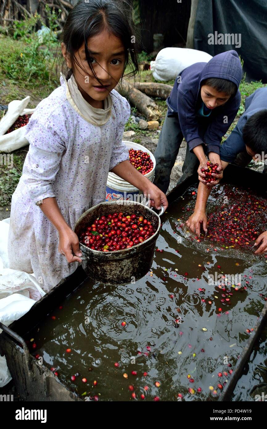 Child farm labor south america hi-res stock photography and images - Alamy