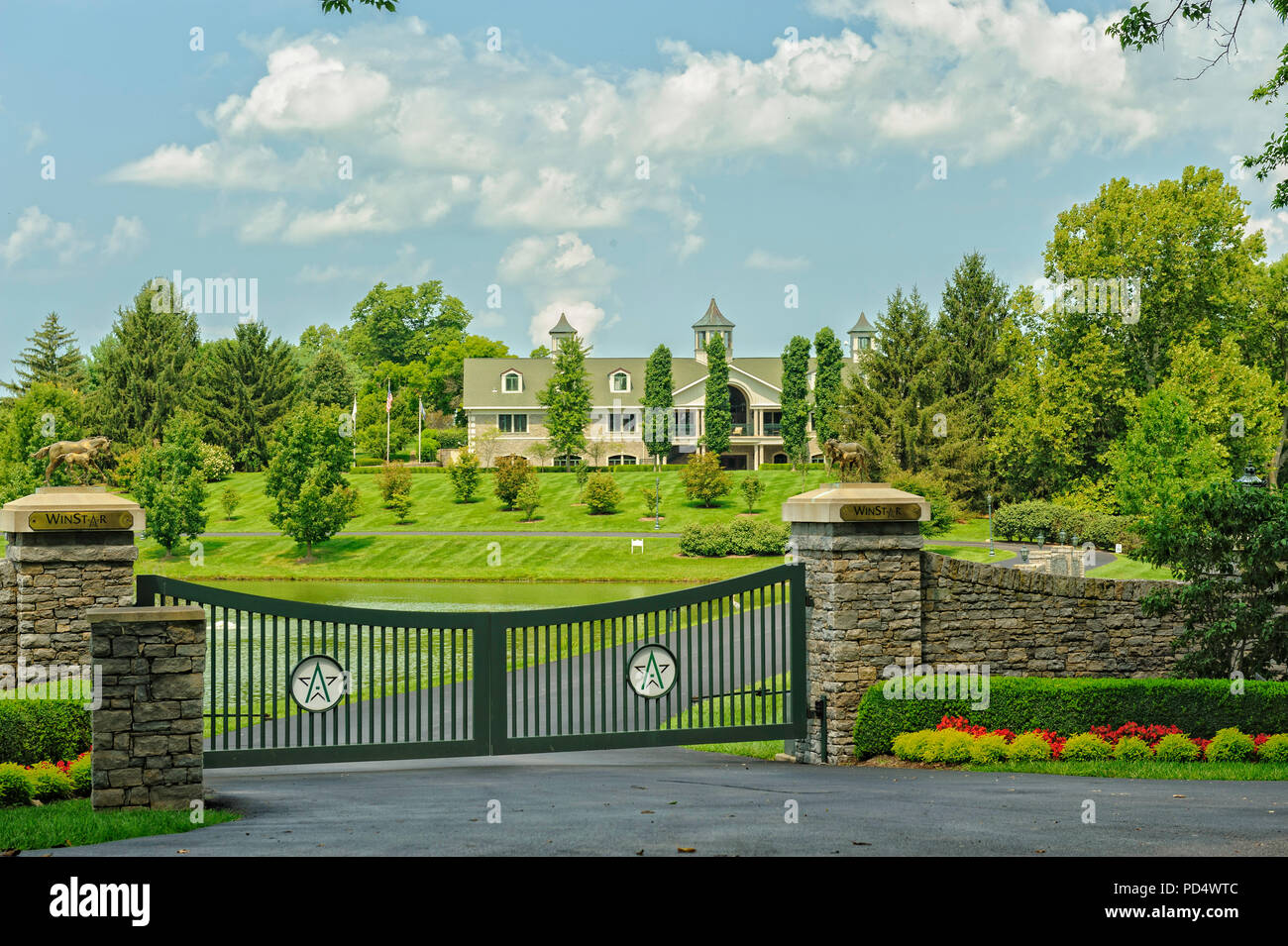 Winstar farm thoroughbred horse farm hi-res stock photography and images - Alamy