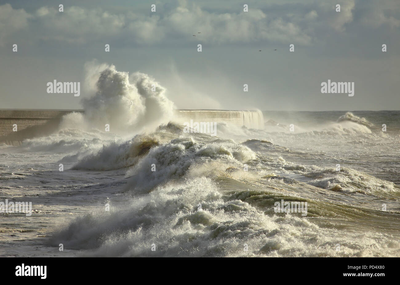 Big waves against Leixoes harbor north wall Stock Photo - Alamy
