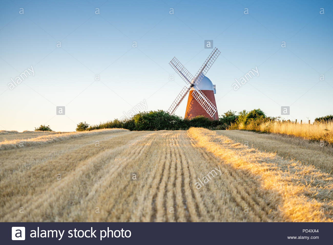 Halnaker Windmill, Sussex Stock Photos & Halnaker Windmill, Sussex ...