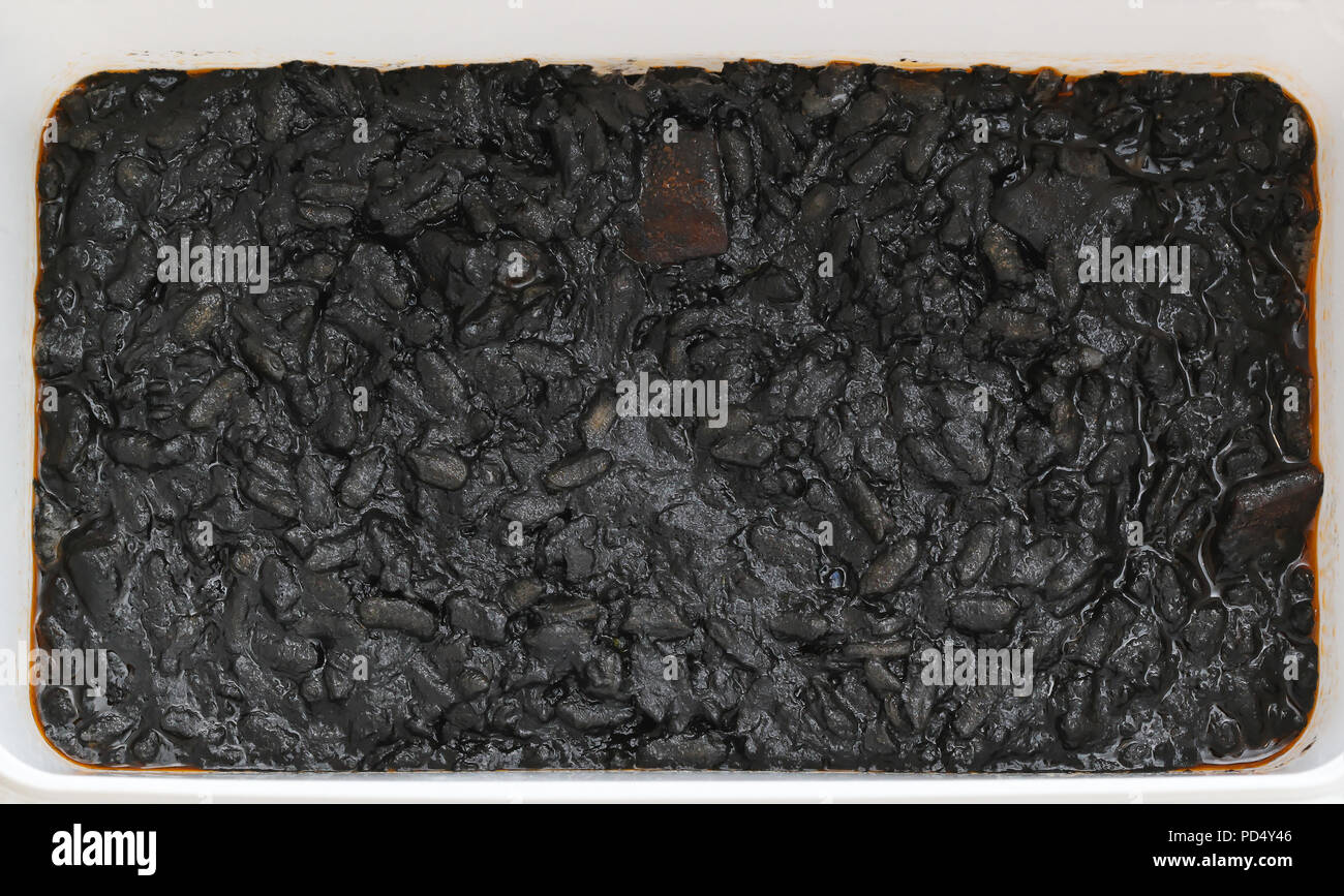 Black cuttlefish risotto Italian cuisine Stock Photo - Alamy