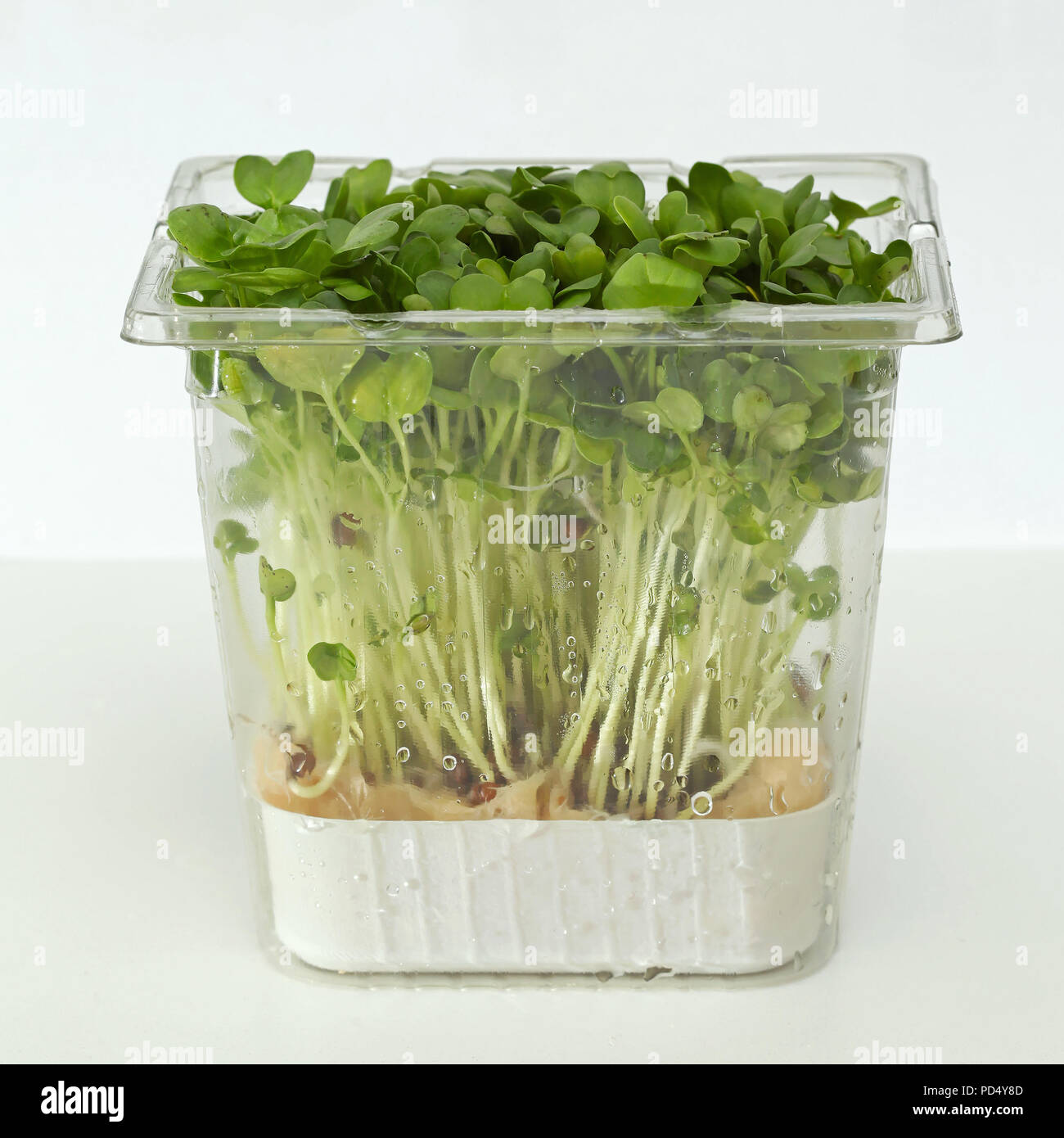 Edible watercress hi-res stock photography and images - Alamy