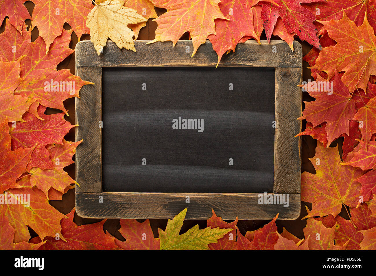 Fall background with a chalkboard and fallen leaves Stock Photo - Alamy