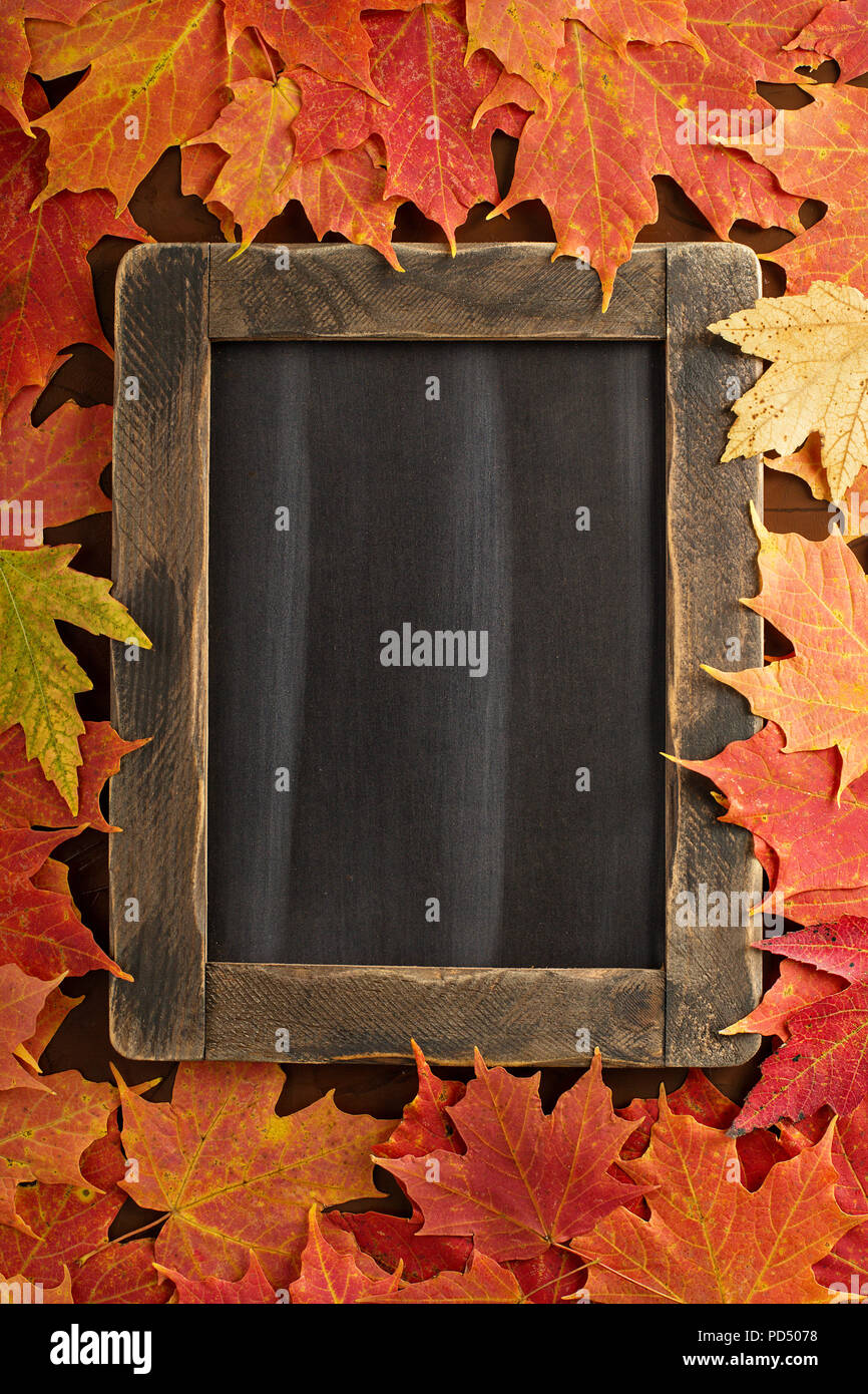 Fall background with a chalkboard and fallen leaves Stock Photo - Alamy