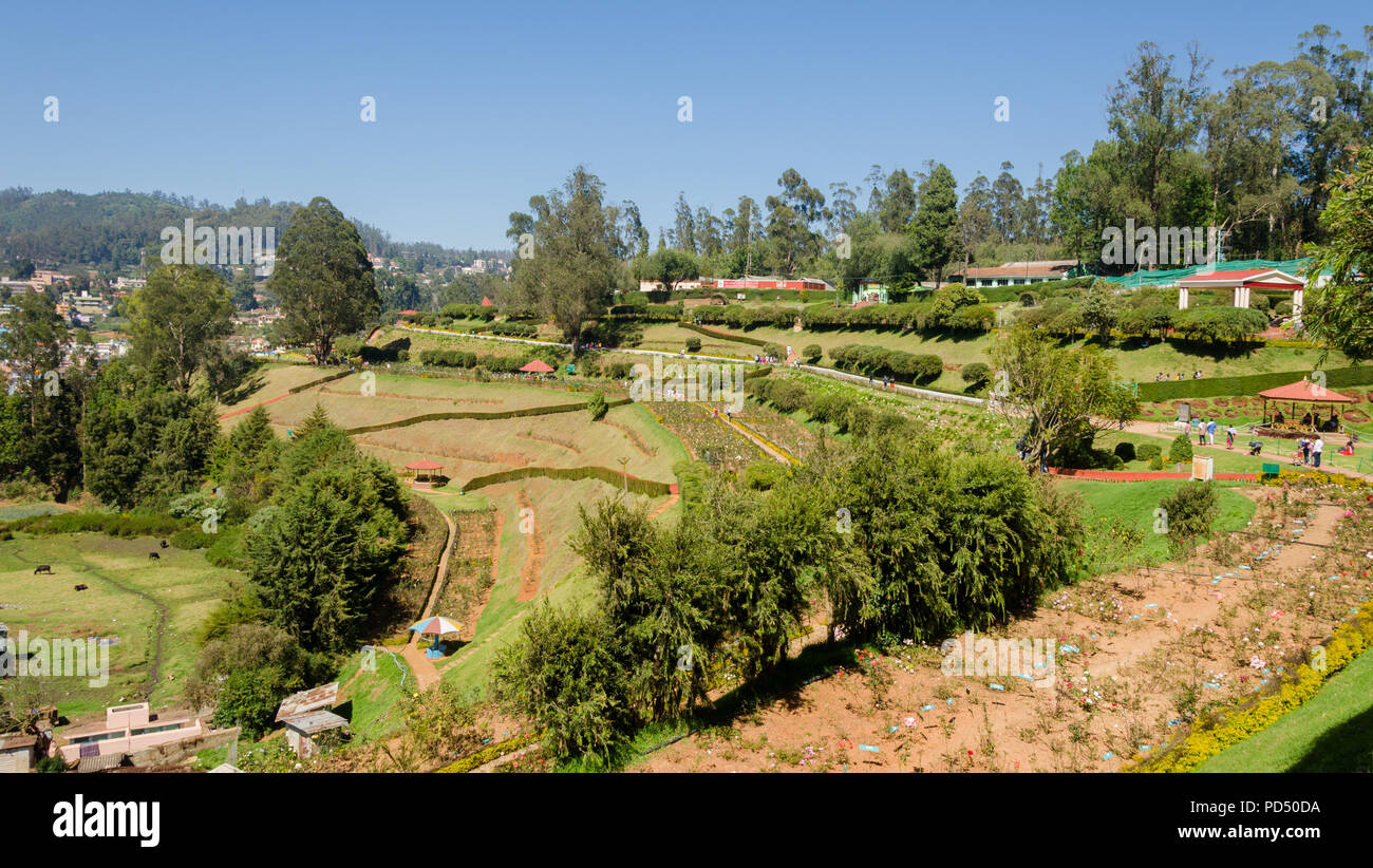 Beautiful view from Government Rose Garden in Ooty, Tamil Nadu, India ...