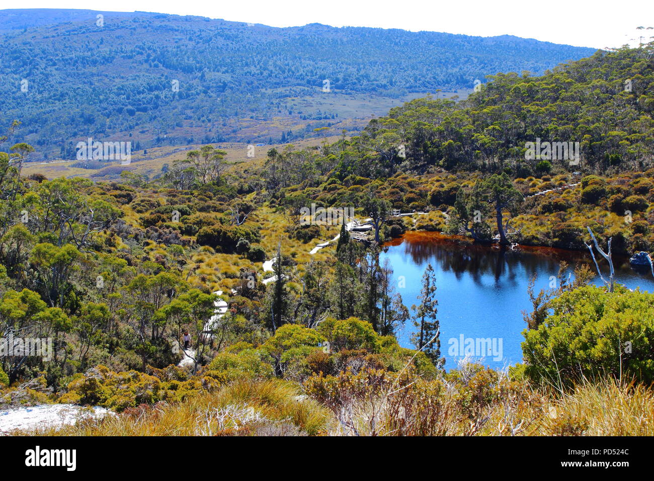 Cradle mountain tasmania hi-res stock photography and images - Alamy