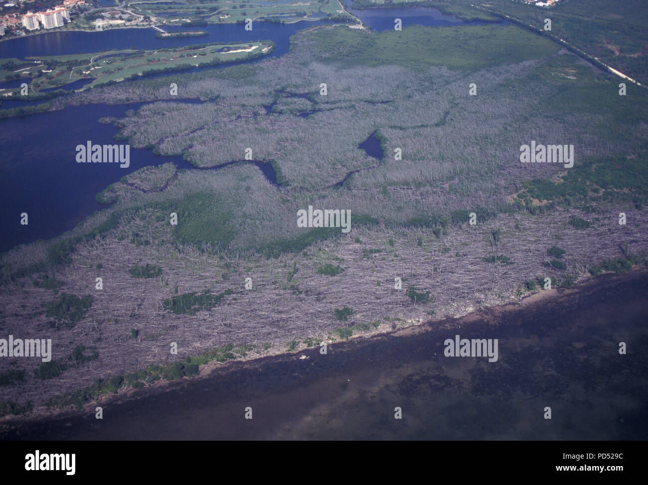Hurricane andrew florida hi-res stock photography and images - Alamy