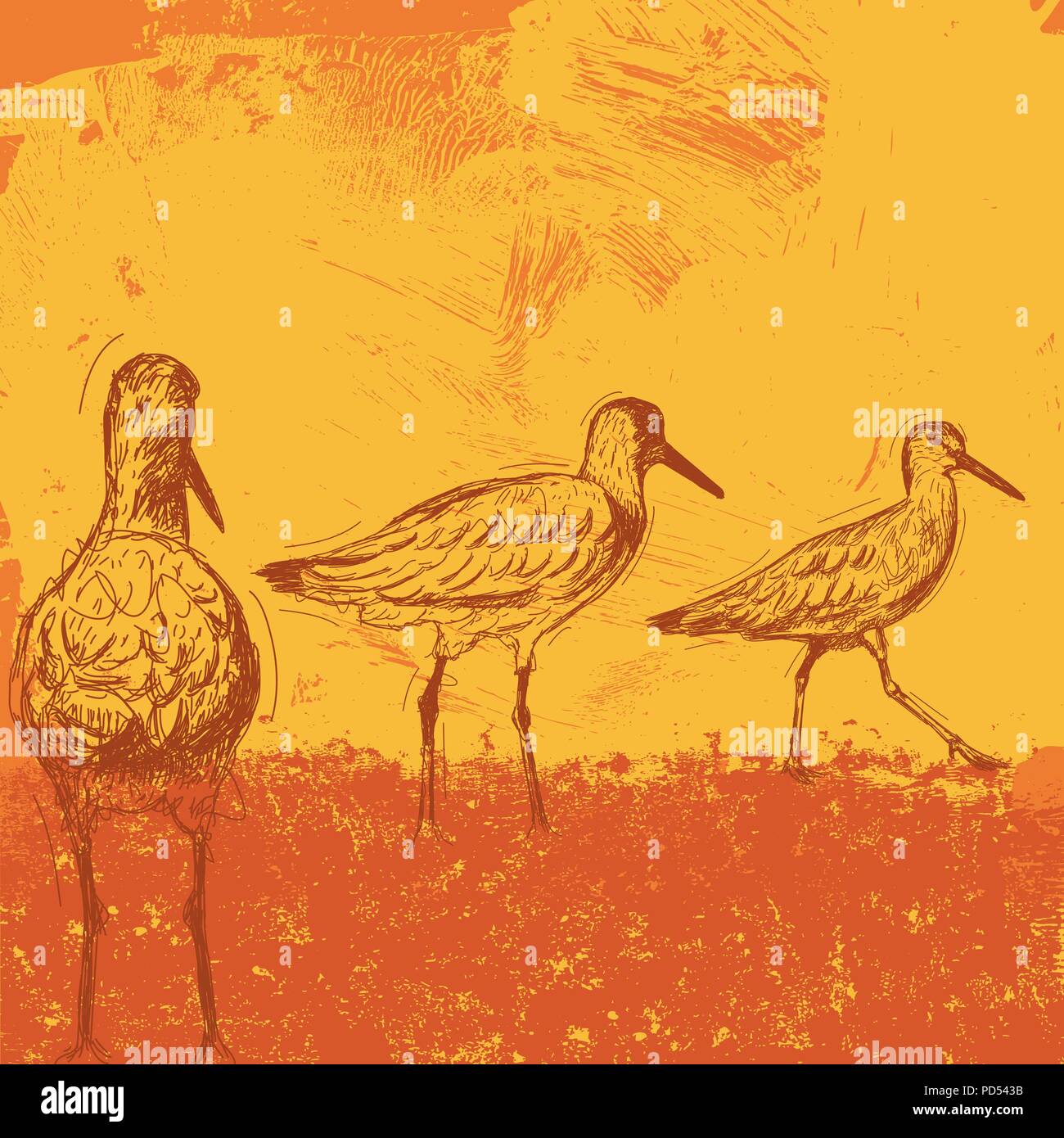 Birds Stock Vector Images - Alamy