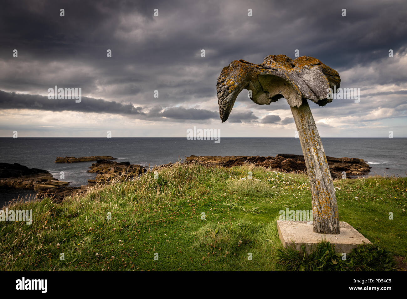 Orcadian history hi-res stock photography and images - Alamy