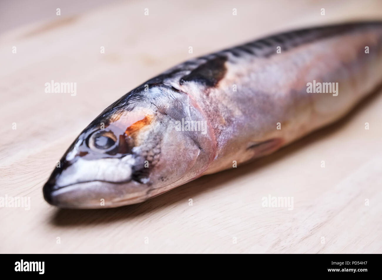 Mackerel scales hi-res stock photography and images - Alamy