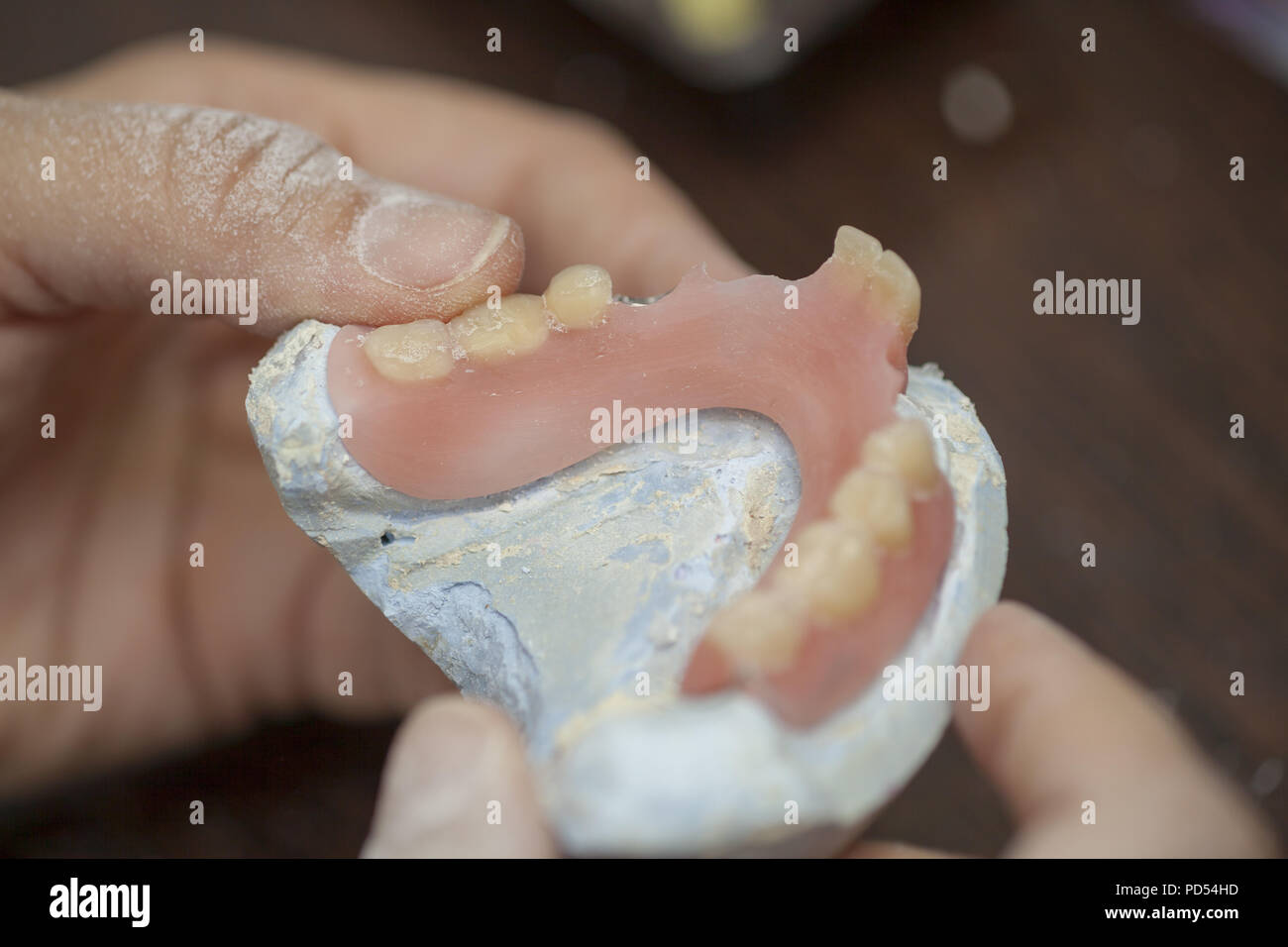 Dental technician check his work of denture prothesis in dental ...