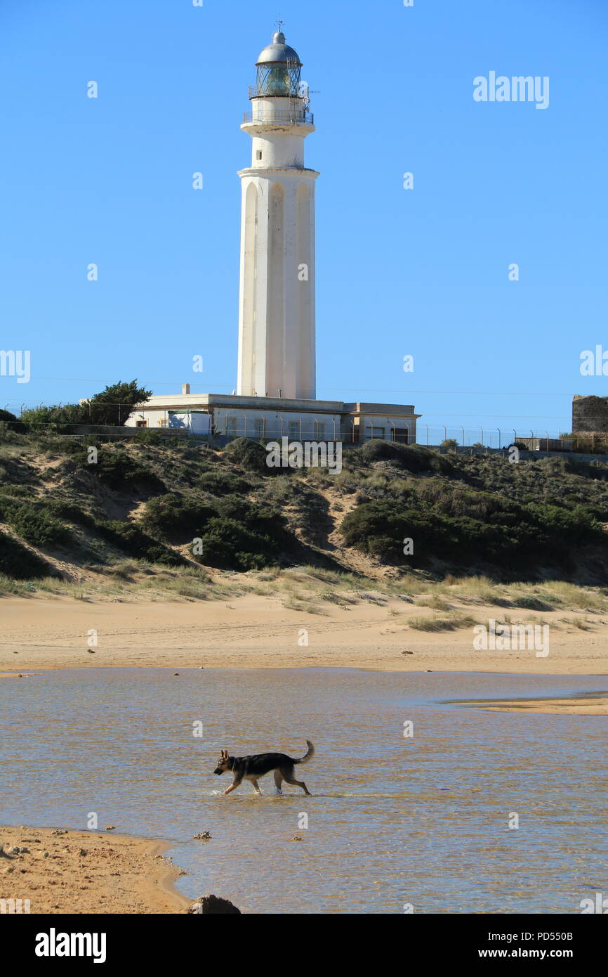 Lighthouse of Trafalgar, Spain Stock Photo - Alamy
