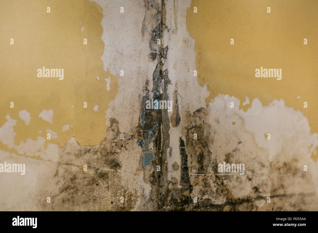 Damp musty hi-res stock photography and images - Alamy