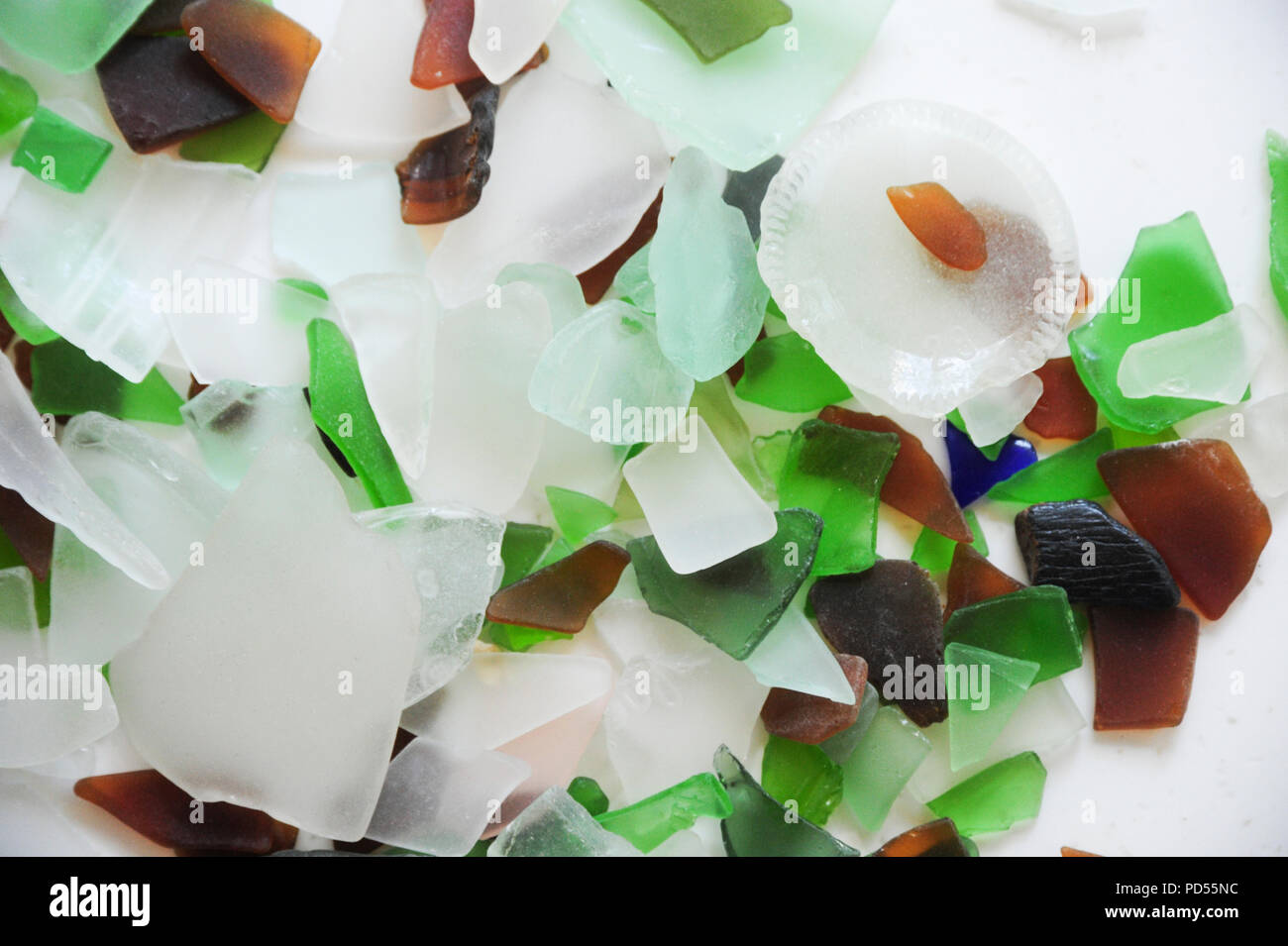 Real Florida Beach Glass Stock Photo - Alamy