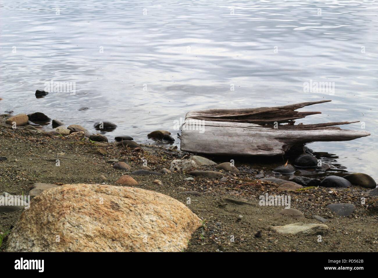 Clam pond hi-res stock photography and images - Alamy
