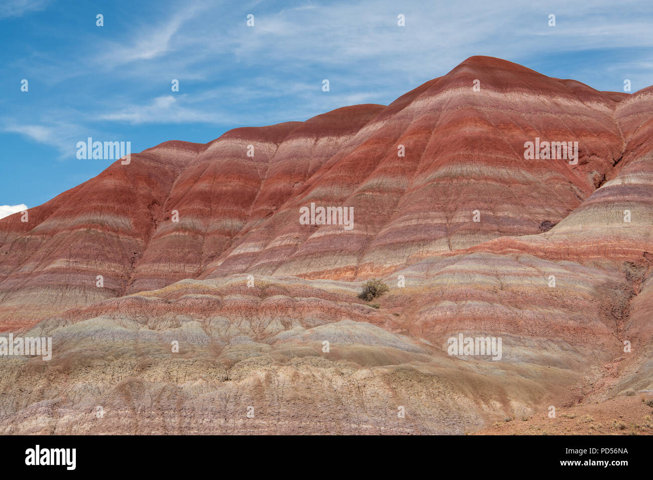 Colorful strata of red, purple, gray, green, and blue in Grand ...