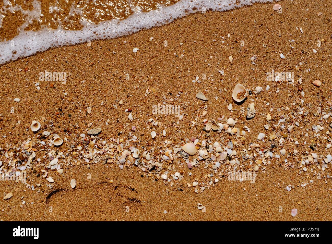 Water gently flowing over sand, Toomulla QLD, Australia Stock Photo - Alamy
