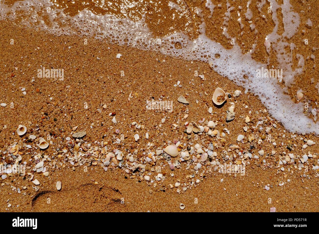 Water gently flowing over sand, Toomulla QLD, Australia Stock Photo - Alamy