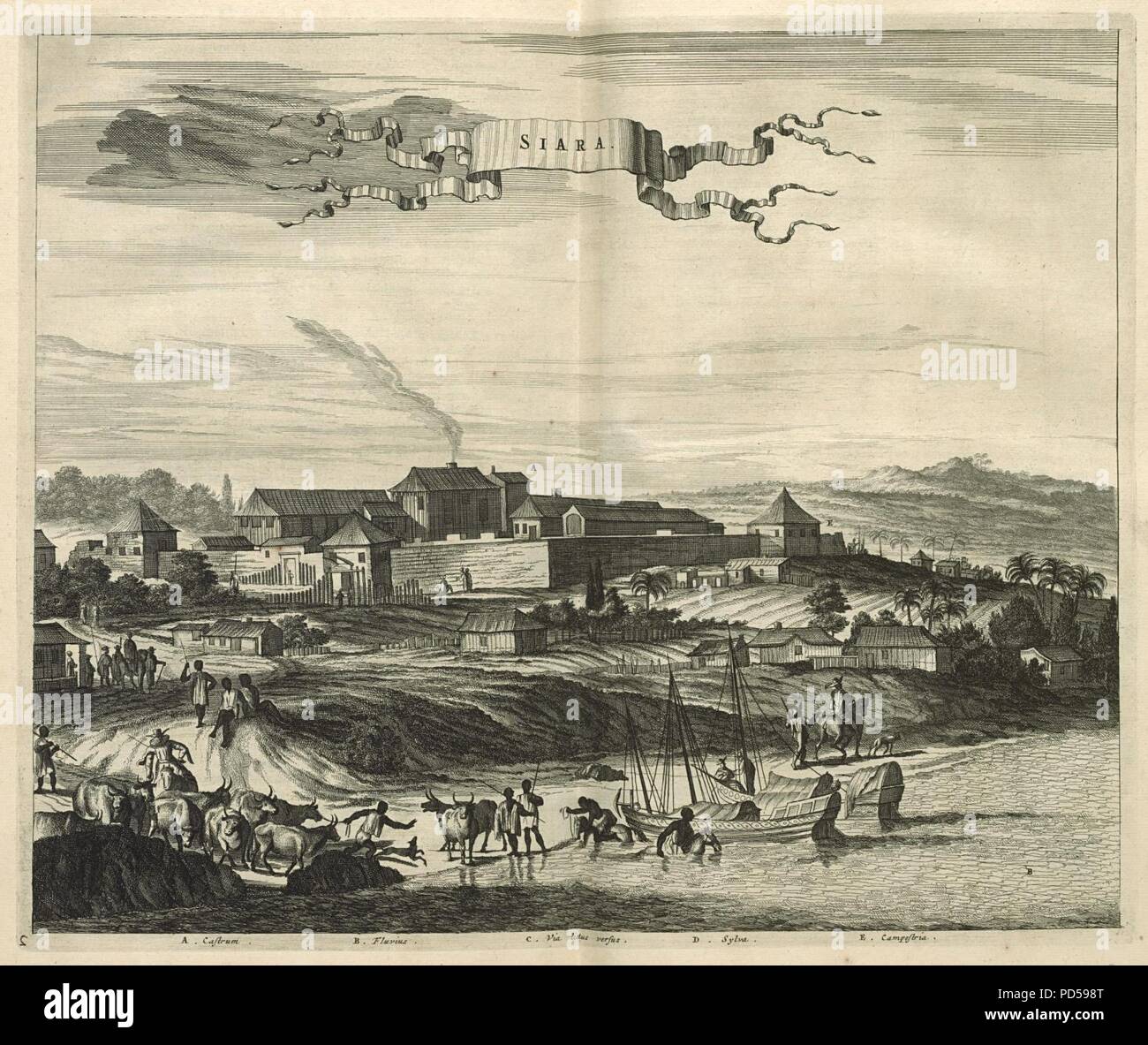 Siara hi-res stock photography and images - Alamy