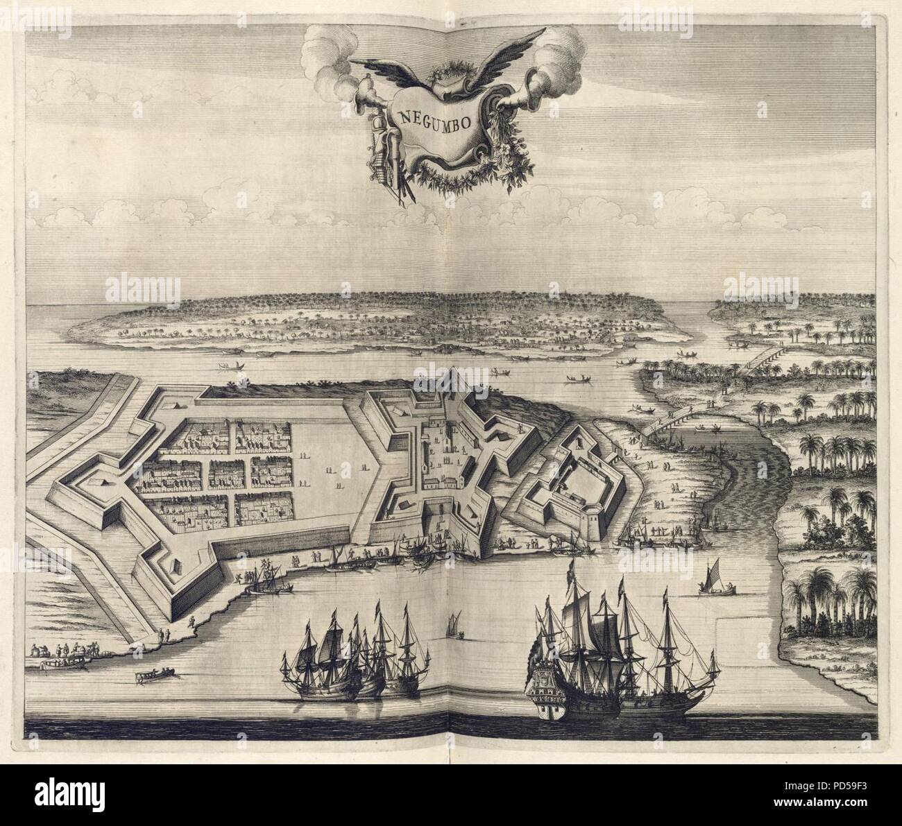 Negumbo hi-res stock photography and images - Alamy