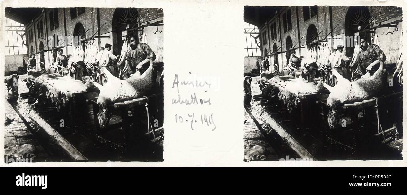 Abattoir historical hi-res stock photography and images - Alamy