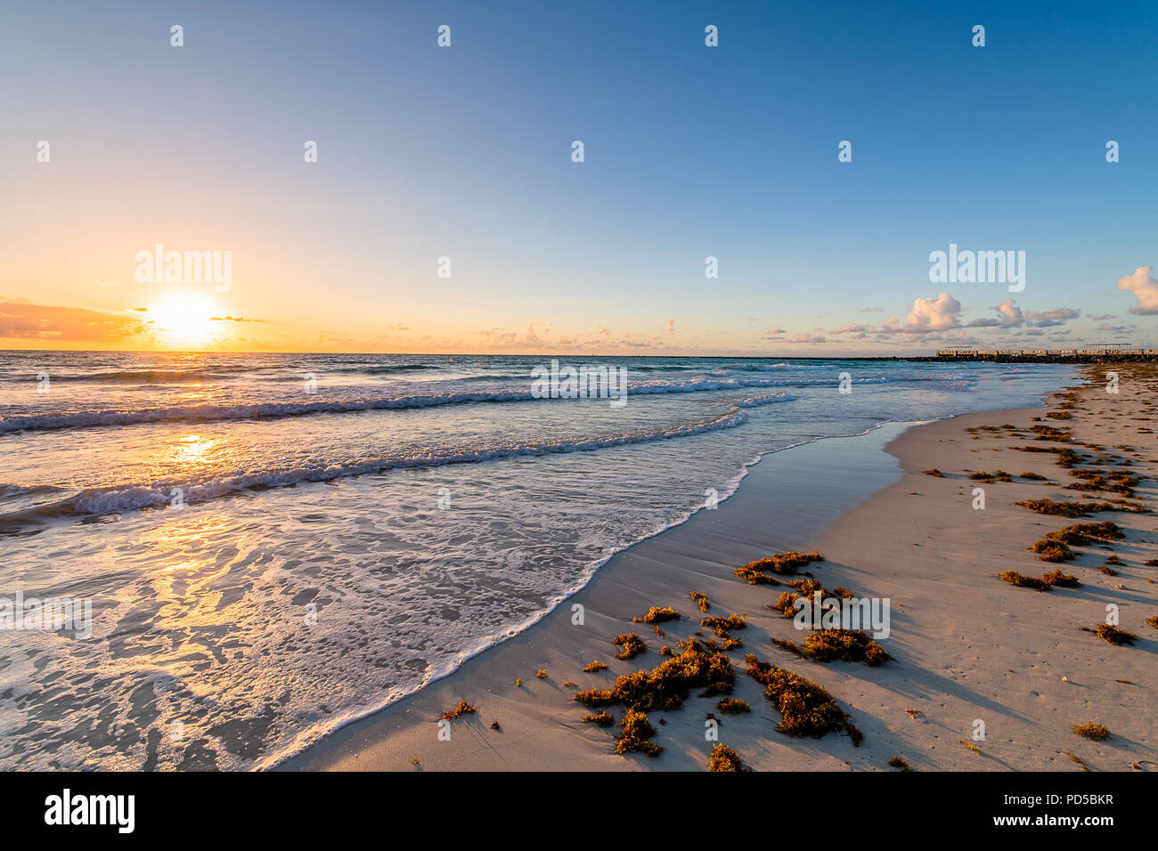 Park pointe hi-res stock photography and images - Alamy