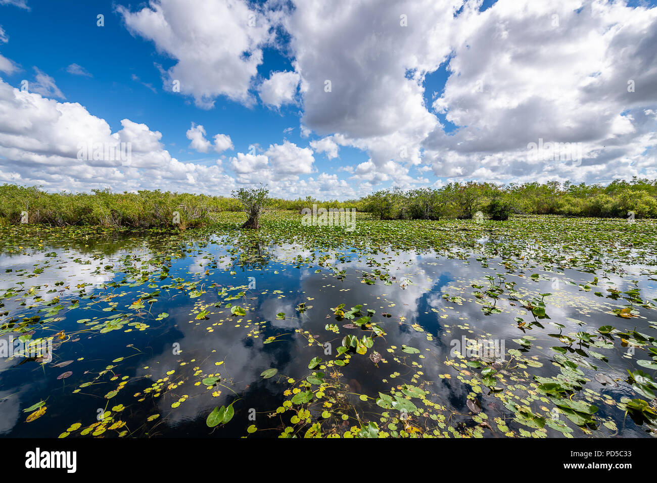 Everglades National Park Stock Photo - Alamy