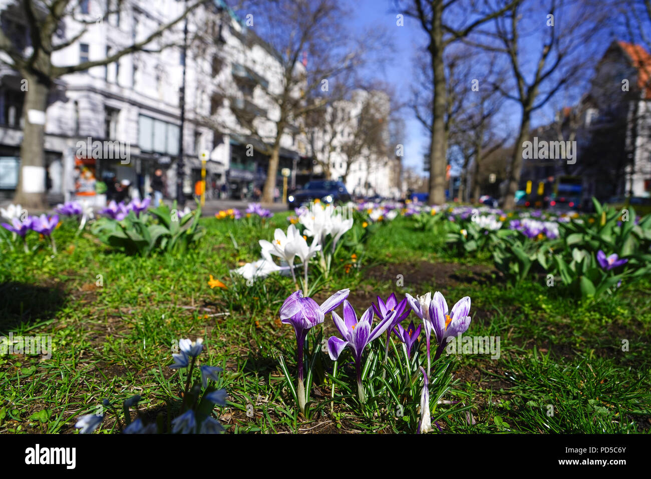Berlin special hi-res stock photography and images - Alamy