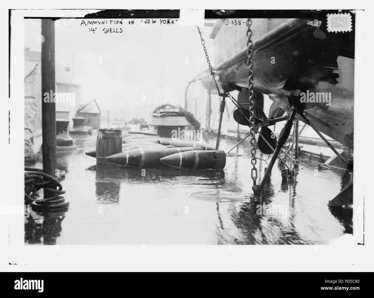 Picture of shells Black and White Stock Photos & Images - Alamy