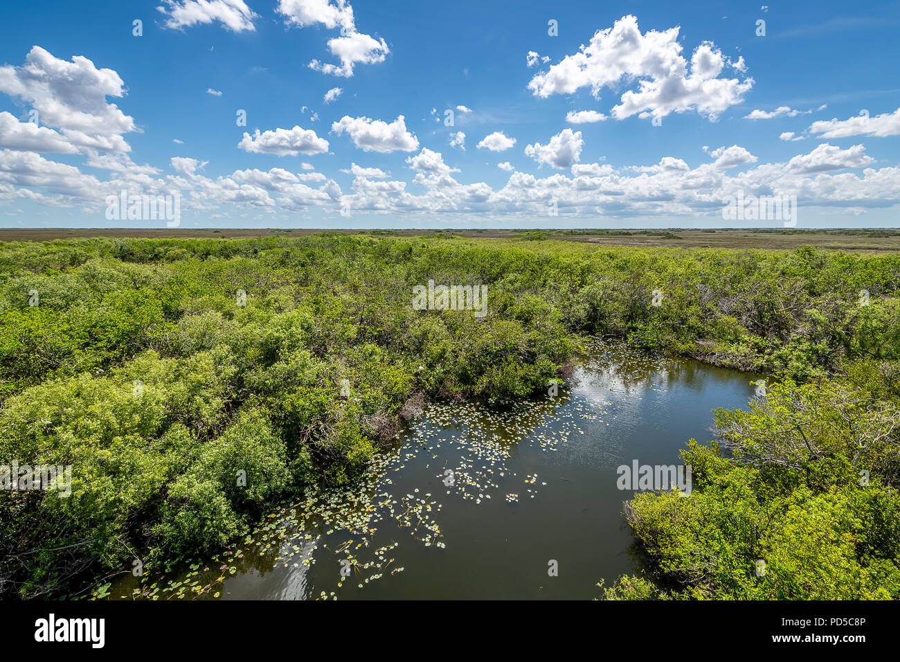 Everglades National Park Stock Photo - Alamy