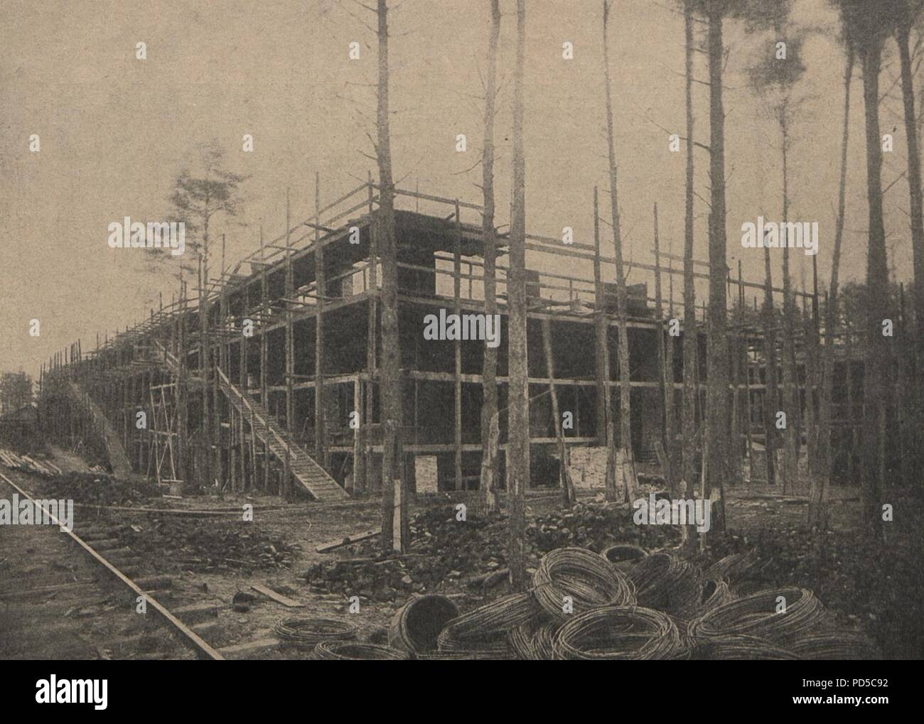 Amo image hi-res stock photography and images - Alamy