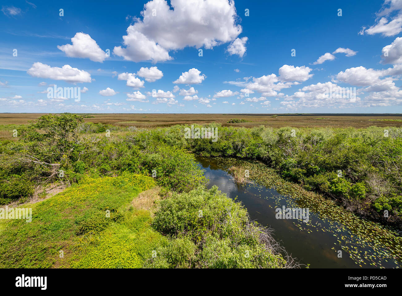 Tropical national park hi-res stock photography and images - Alamy