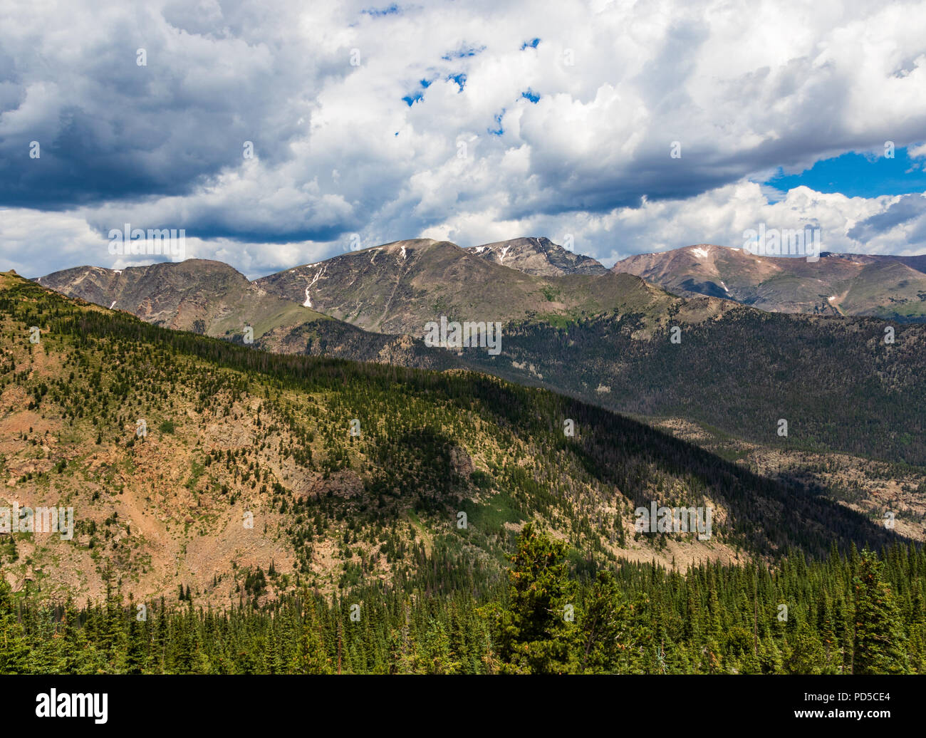 Sunny, evergreen foreground with overlapping Colorado Rocky Mountains ...