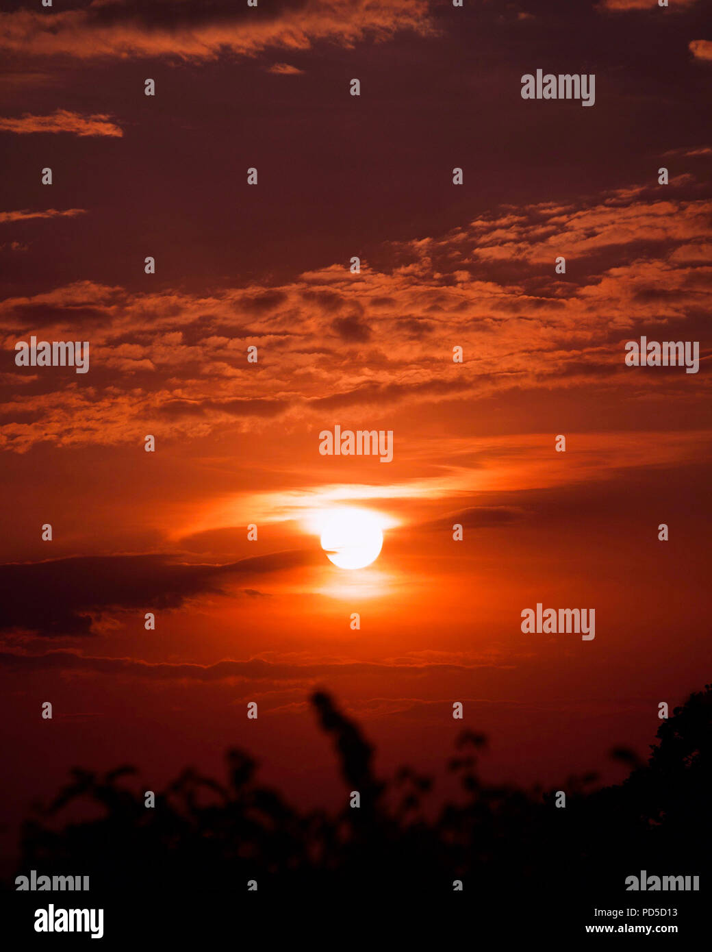 Scerentity hi-res stock photography and images - Alamy