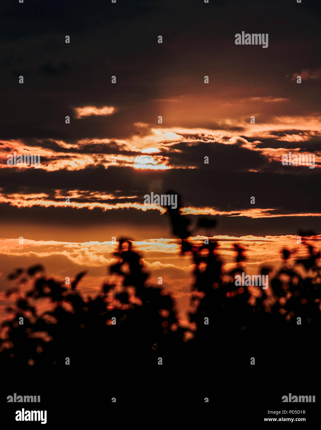 English countryside night sky hi-res stock photography and images - Alamy