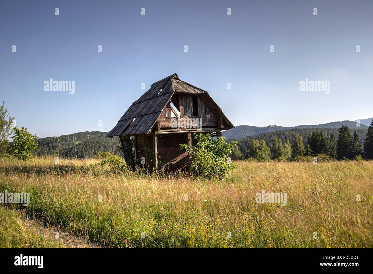 TARA National Park, Western Serbia - Abandoned and decaying log cabin ...