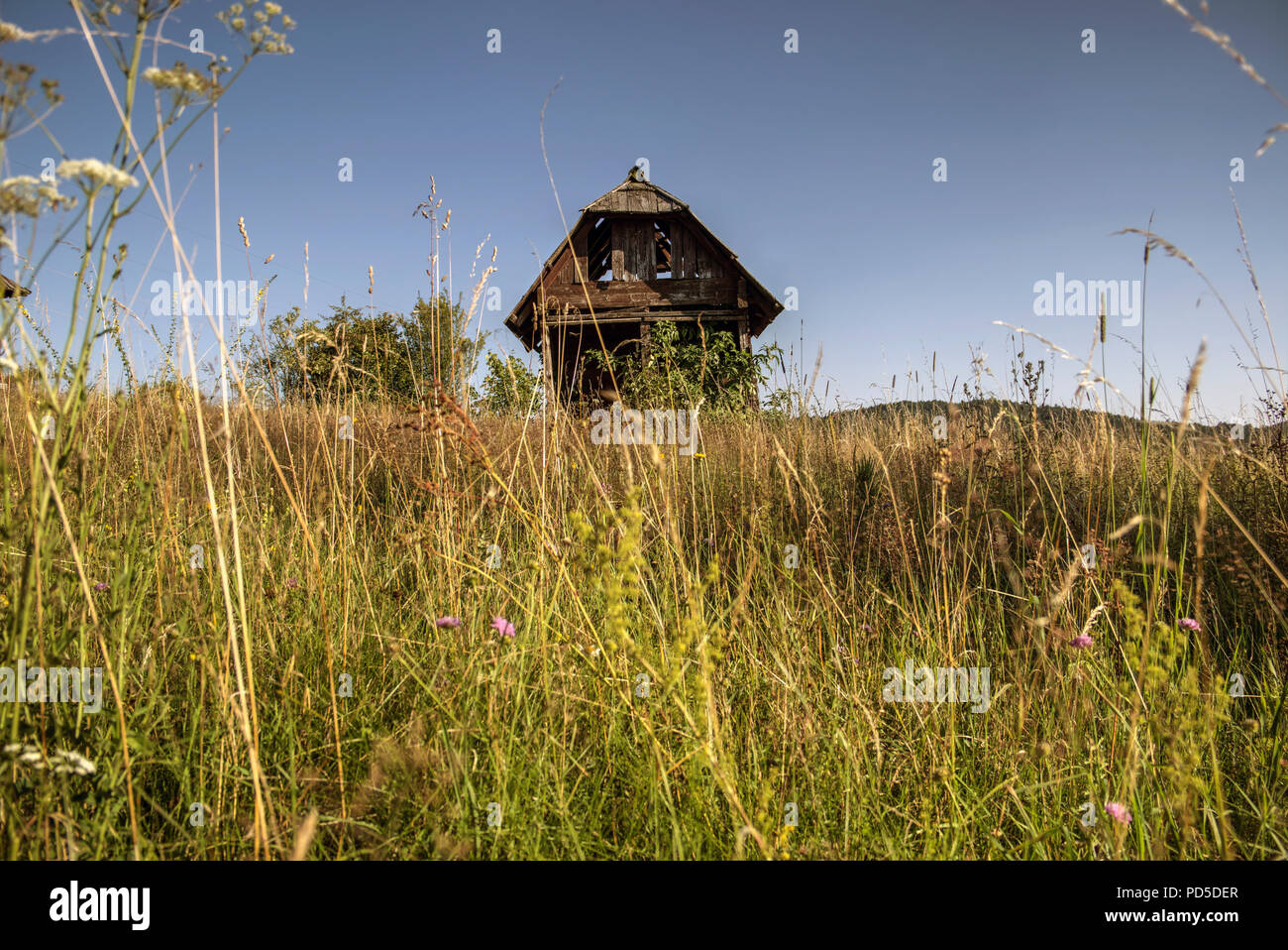 TARA National Park, Western Serbia - Abandoned and decaying log cabin ...