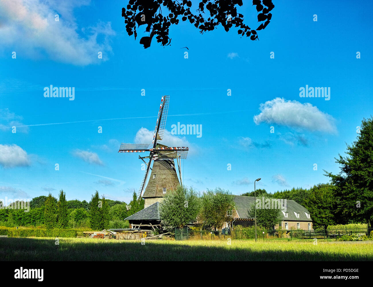 Countryside landscape with traditional Dutch grain mill and farmers ...