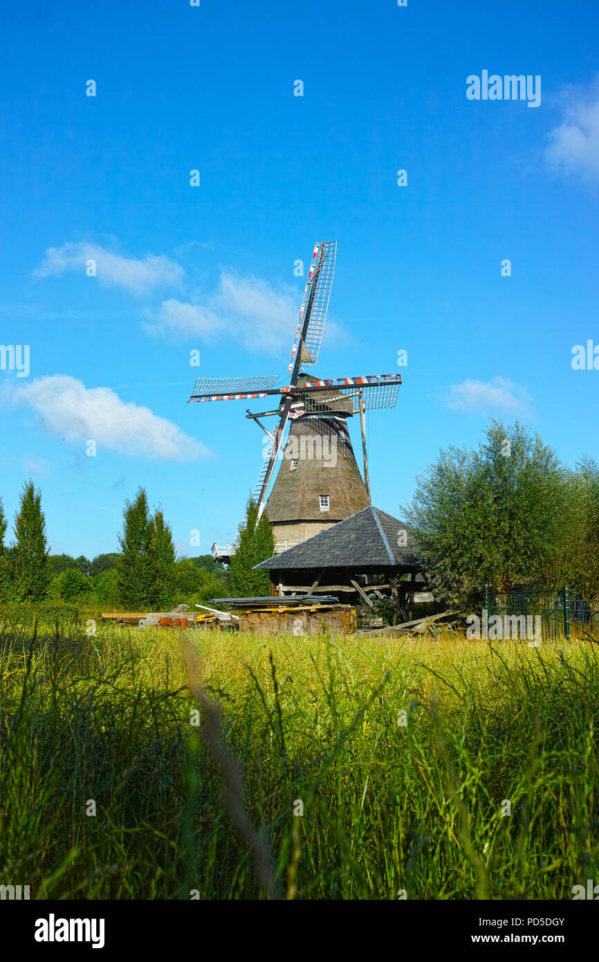 Countryside landscape with traditional Dutch grain mill and farmers ...