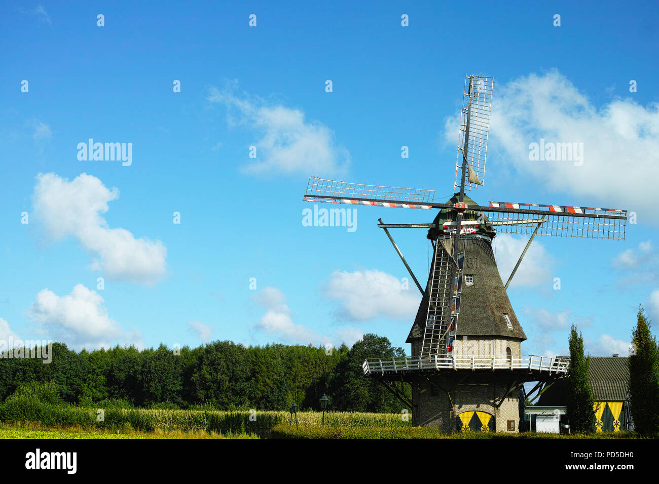 Countryside landscape with traditional Dutch grain mill and farmers ...