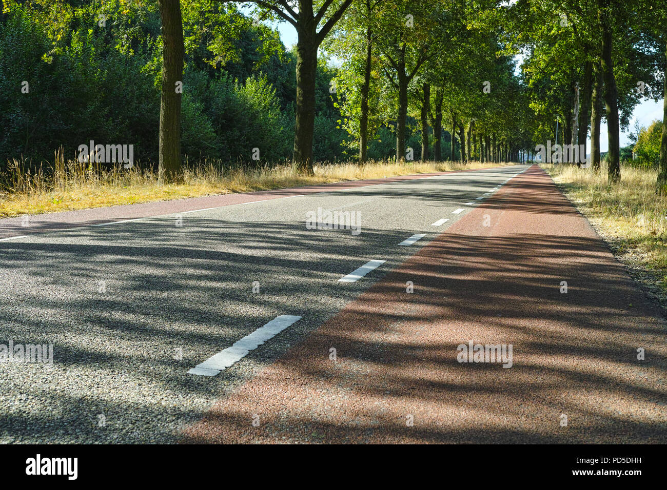 Transportation in North Brabant, Netherlands, roads with bicycle paths ...
