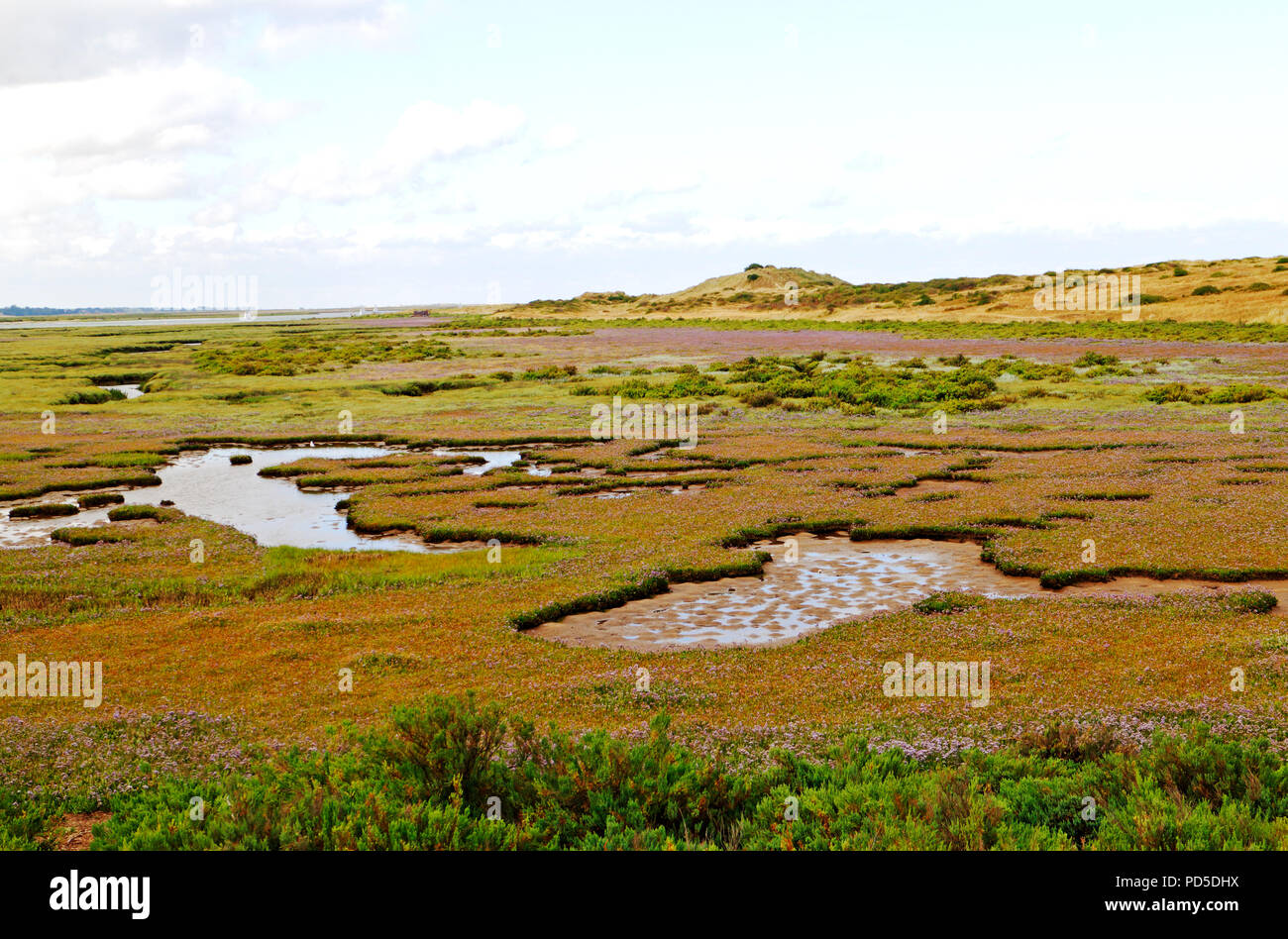 Norfolk Salt Marshes Stock Photos & Norfolk Salt Marshes Stock Images ...