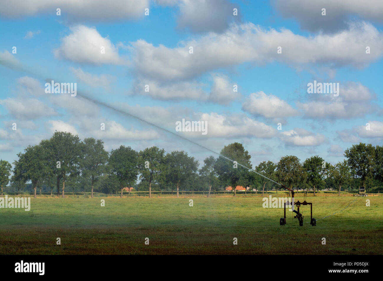 Сatastrophic drought and heat in Europe, nature disaster, irrigation of ...