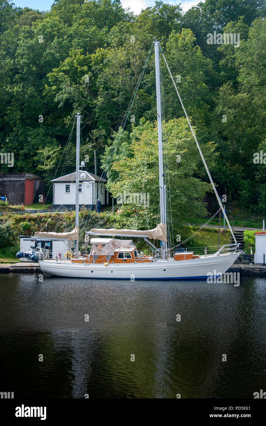 Bucephalus hi-res stock photography and images - Alamy