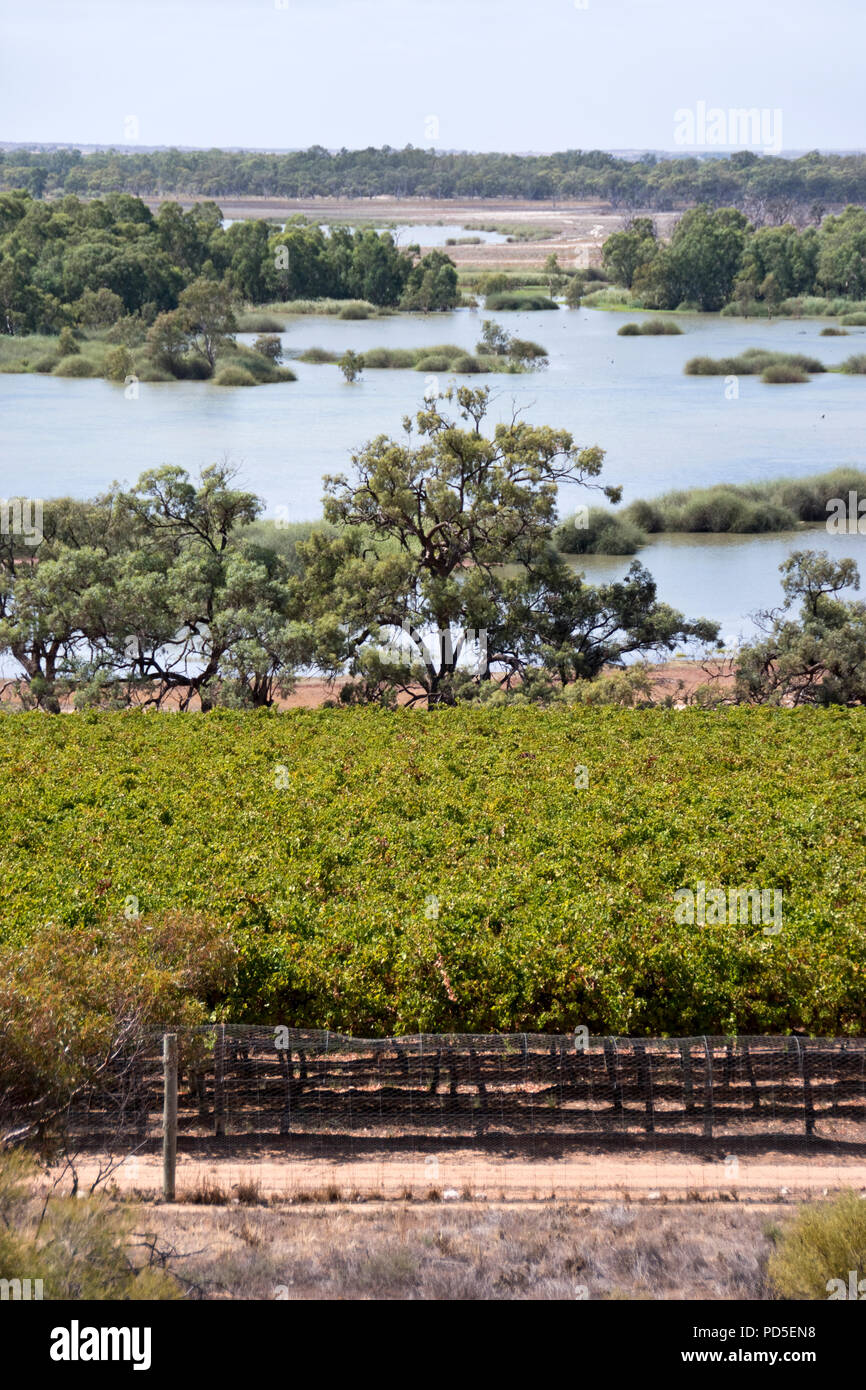 Banrock station winery wetlands riverland region south australia hi-res ...