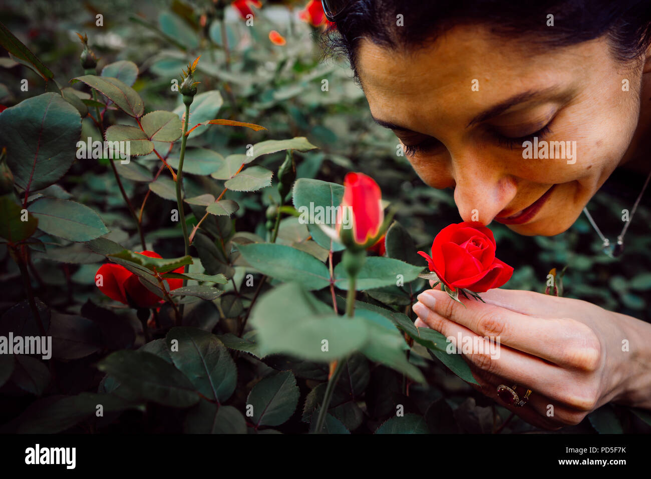 Woman Smelling Roses High Resolution Stock Photography and Images - Alamy