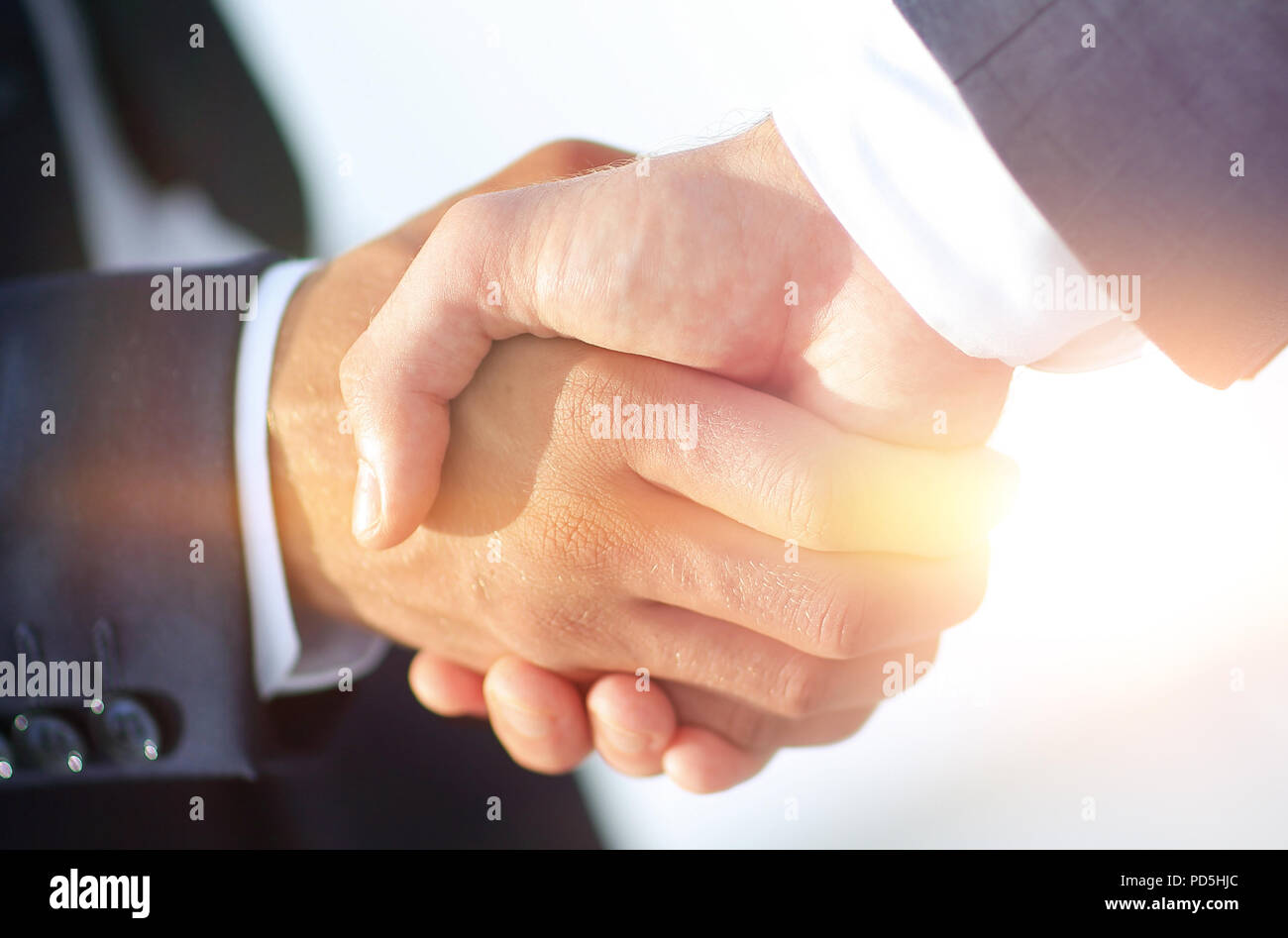 Business men giving a handshake. Business concept Stock Photo - Alamy